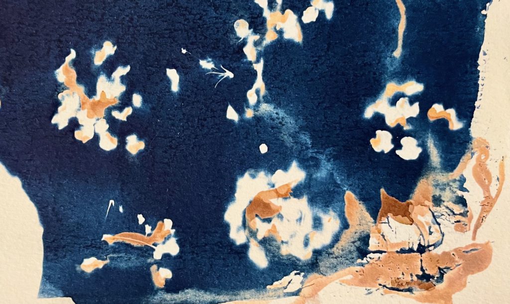 A New Method For Bleaching and Toning Cyanotypes - Art is Craft is Design